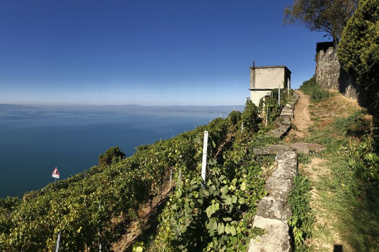 Dézaley – Appellation Dézaley Grand Cru
