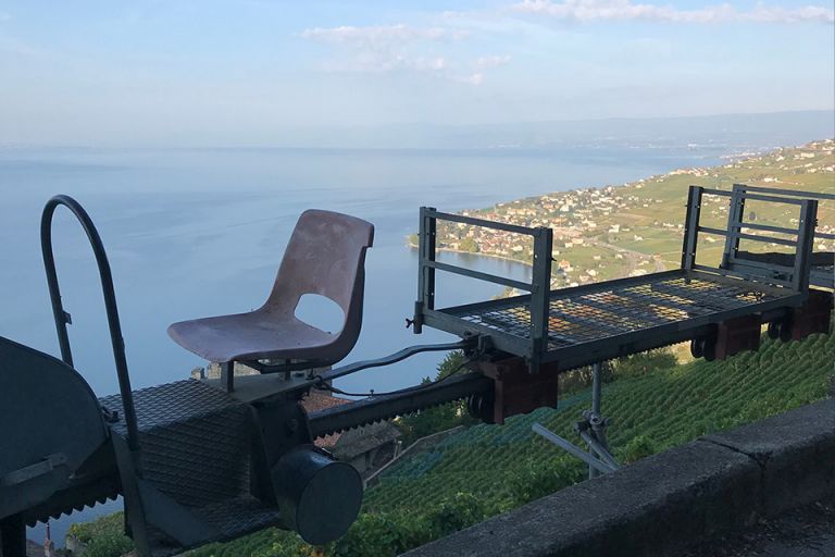 Dézaley – Appellation Dézaley Grand Cru