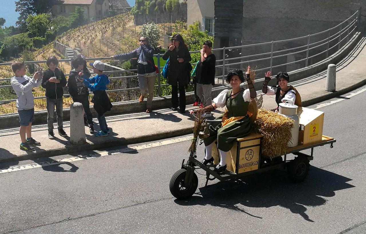 Dézaley – Appellation Dézaley Grand Cru